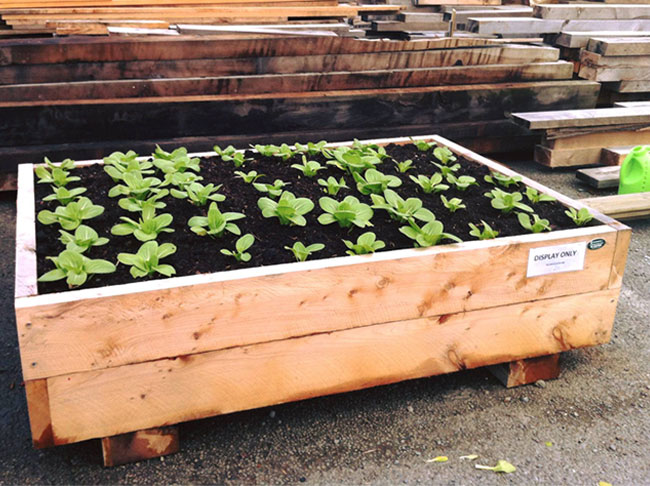 A guide to using macrocarpa outdoors, above and below ground - Musgroves