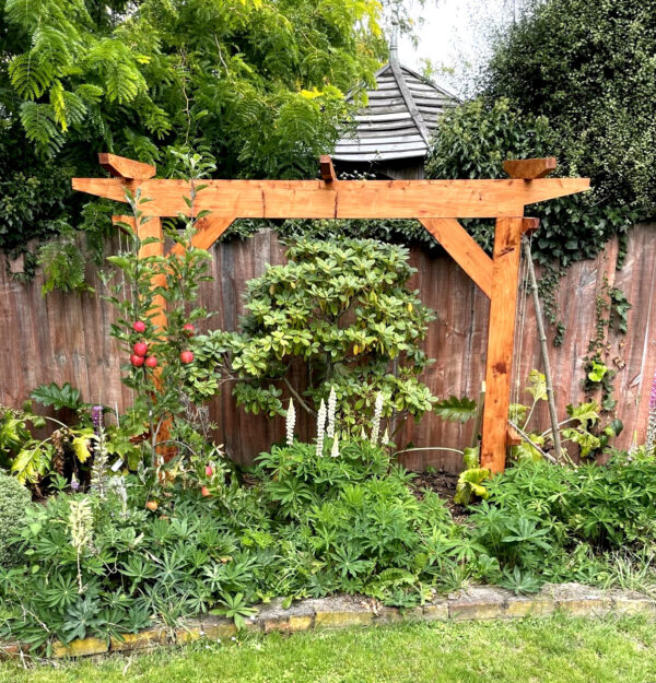 Japanese-style grapevine arbor - Musgroves in Christchurch