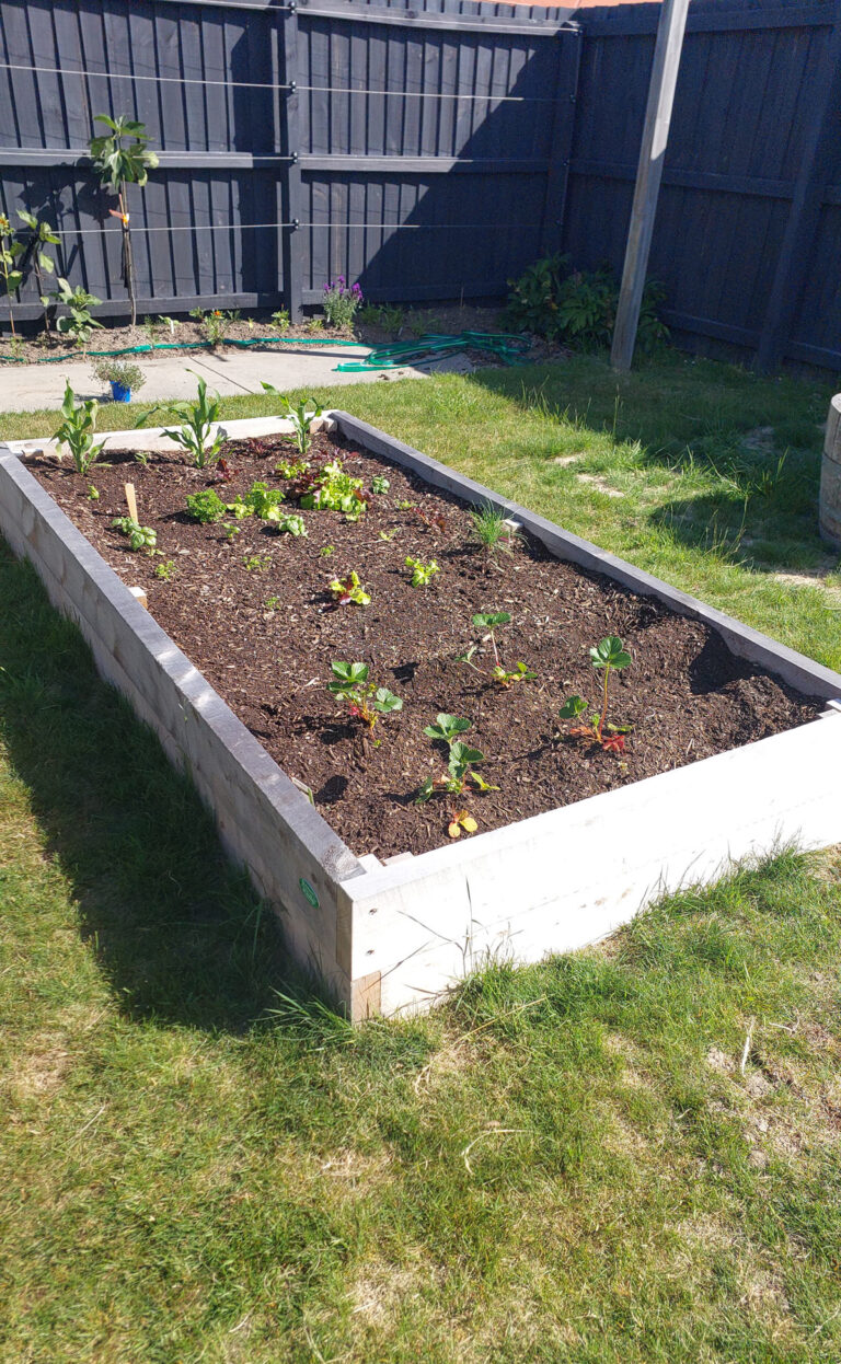 Nicole's kitset planters - Musgroves in Christchurch