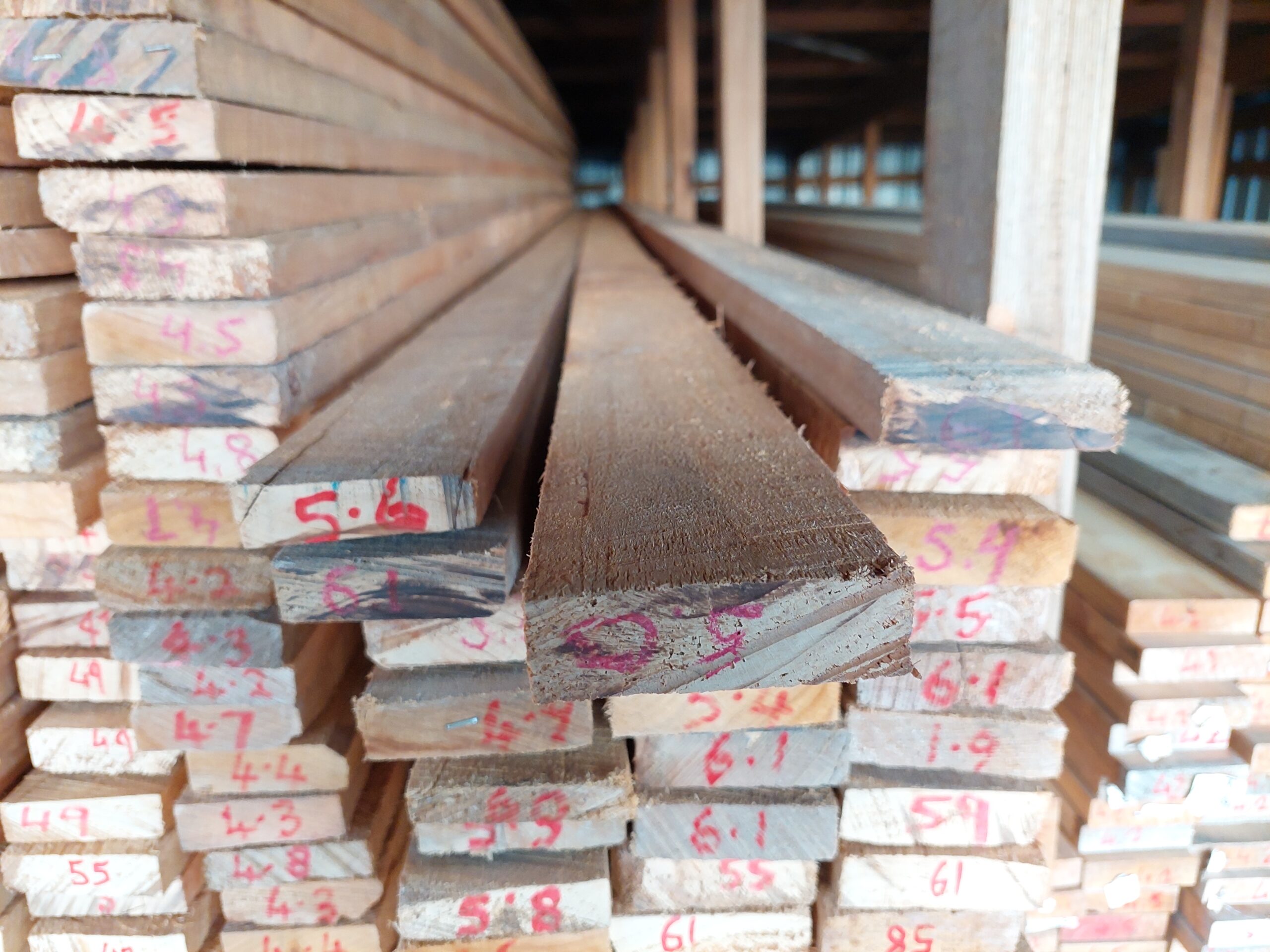 MacroMacrocarpa 75x25mm Roughsawn | Musgroves Ltd