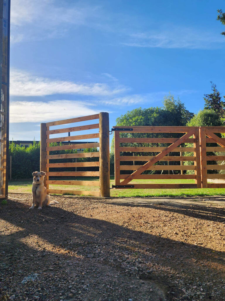 Customer Project: Gates from NZ Oregon - Musgroves in Christchurch