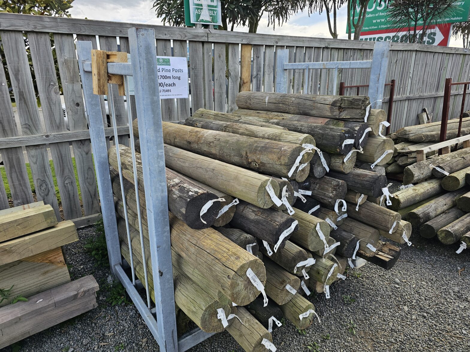 Recycled Pine Posts Shorts | Musgroves Ltd