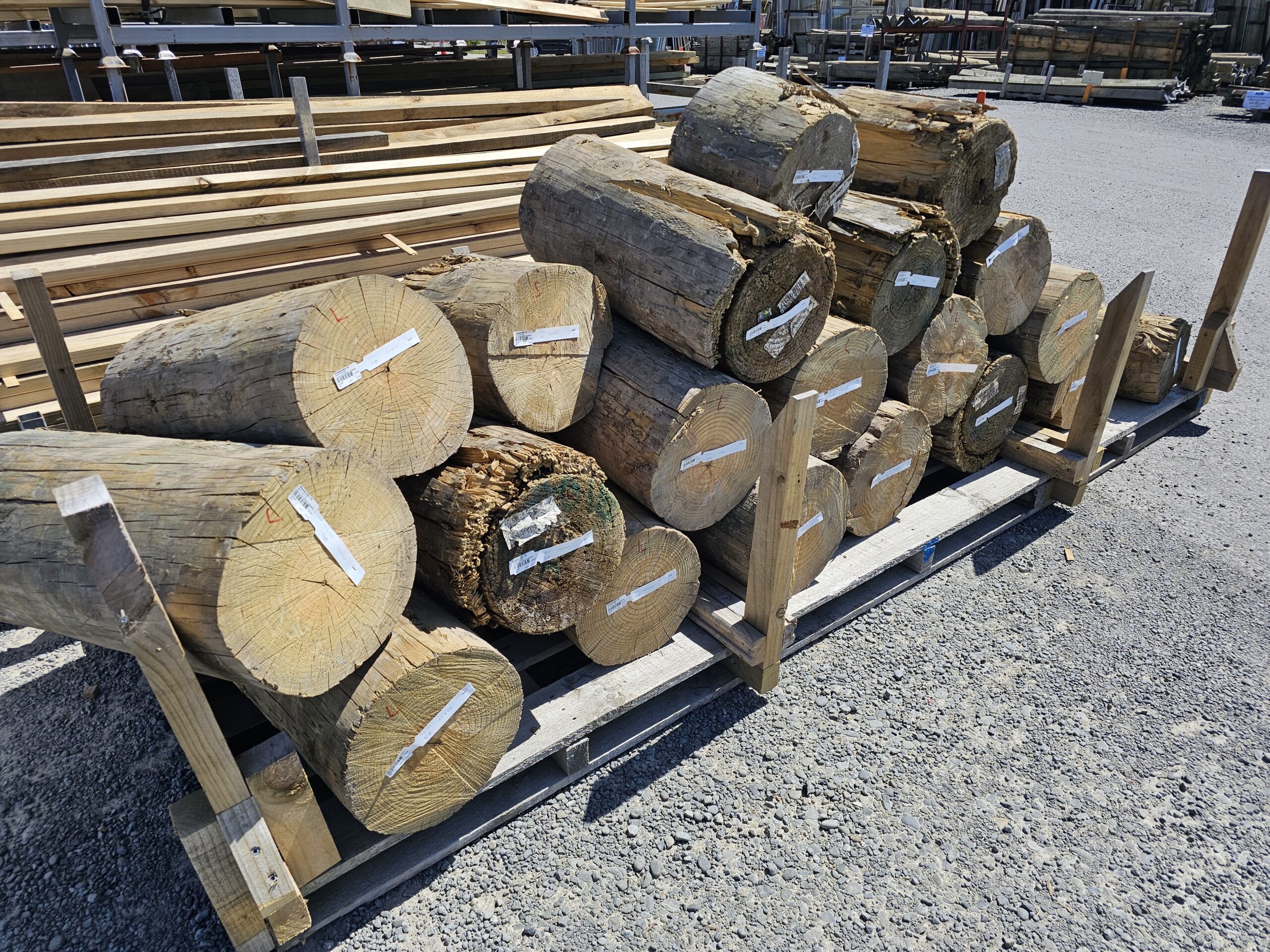 Recycled Short Pine Rounds Under 400mm | Musgroves Ltd